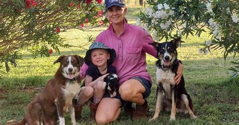 Record Breaking Working Dog Sid Fathers Seven Pups With Well Bred