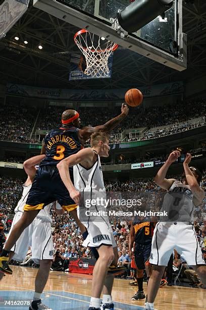 Al Harrington Basketball Player Photos And Premium High Res Pictures