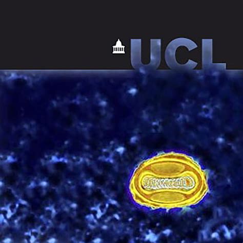 Listener Numbers Contacts Similar Podcasts The History Of Smallpox Eradication