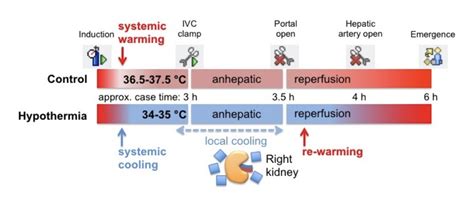 What We Do Anesthesia