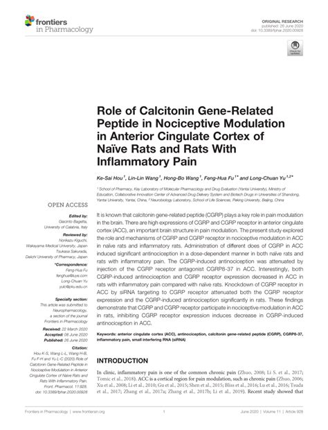 pdf role of calcitonin gene related peptide in nociceptive