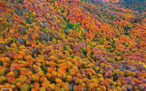 ფსიქოლოგია და ფსიქოლოგია და რელიგიათმცოდნეობა