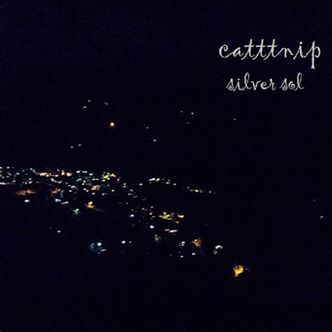 Silver Sol Catttnip Startfromthetrash