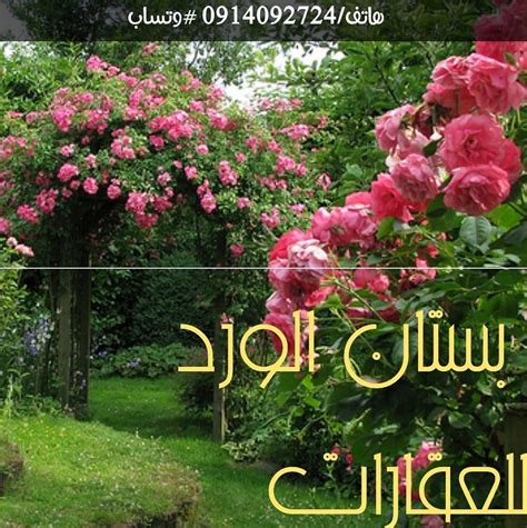 عقارات بستان الورد Medina