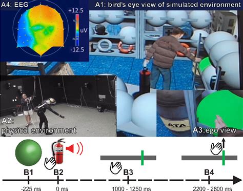 Figure 1 From Neurocognitive Stages Of Spatial Cognitive Mapping