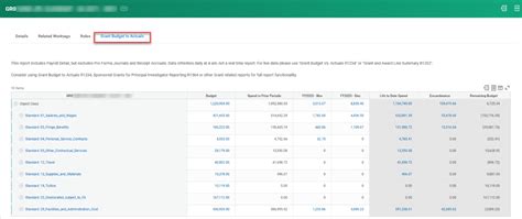 Enhancing Workday Worktags With Embedded Reports Information Technology