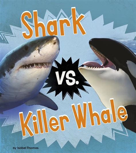Megalodon Shark Vs Killer Whale