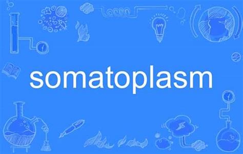 Somatoplasm百度百科