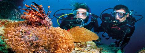 Immersioni Subacquee In Vietnam I Migliori Siti Sottomarini