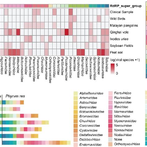 Pdf Virid Beyond Virus Discovery An Integrated Platform For