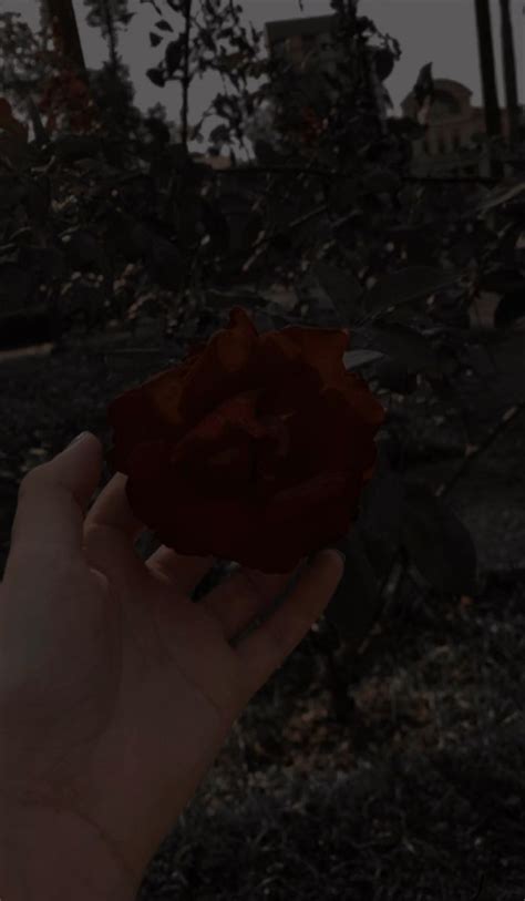 45 Macie Aesthetic Ideas Aesthetic Dark Aesthetic Aesthetic Pictures