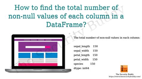 How To Find The Total Number Of Non Null Values Of Each Column In A Dataframe The Security Buddy