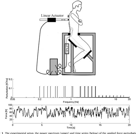 Figure 1 From Trunk Stabilization Estimated Using Pseudorandom Force