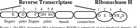 Figure 1 From A Comparative Analysis Of Computational Motif Detection
