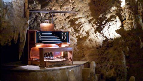 Our Top 10 Favourite Weird Musical Instruments Catawiki