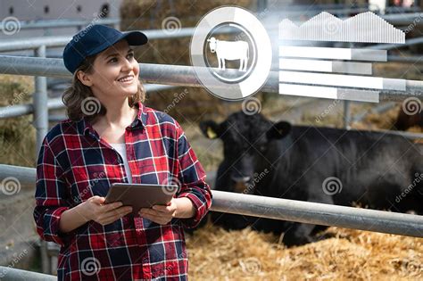 Woman Farmer With Tablet Computer Inspects Cows At A Dairy Farm Herd Management Stock Image