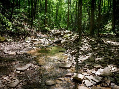 Trail 7, Virginia - GPS Trail Map, Conditions & Difficulty | onX Offroad