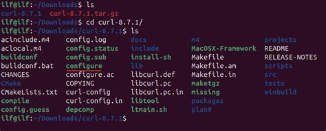 How To Install Curl On Ubuntu 24 04 Its Linux Foss