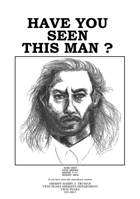 Have You Seen This Person Template
