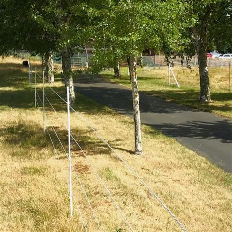 Fiberglass Post Horse Fence Direct Store