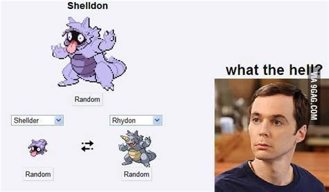 Shellder Rhydon Shelldon 9gag