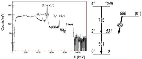 Background Subtracted γ Ray Spectrum Doppler Corrected For The