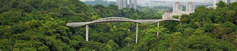 Henderson Waves Singapore Cây Cầu Biểu Tượng Của đảo Quốc Sư Tử