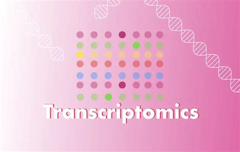 What Is Transcriptomics