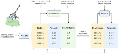 Chatterjeelab Moppit · Hugging Face