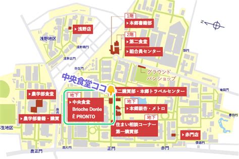 【東大へgo①】東京大学に行ってみよう！どこから入るの？ 本郷キャンパス【物理的に入る方法編】 Kakkon Net