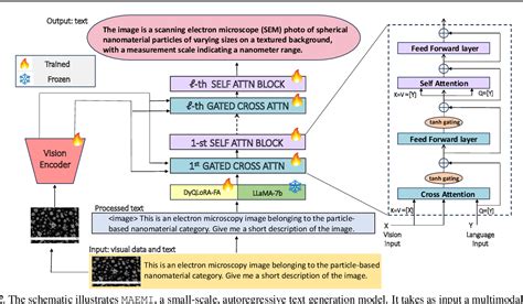 Foundational Model For Electron Micrograph Analysis Instruction Tuning Small Scale Language And