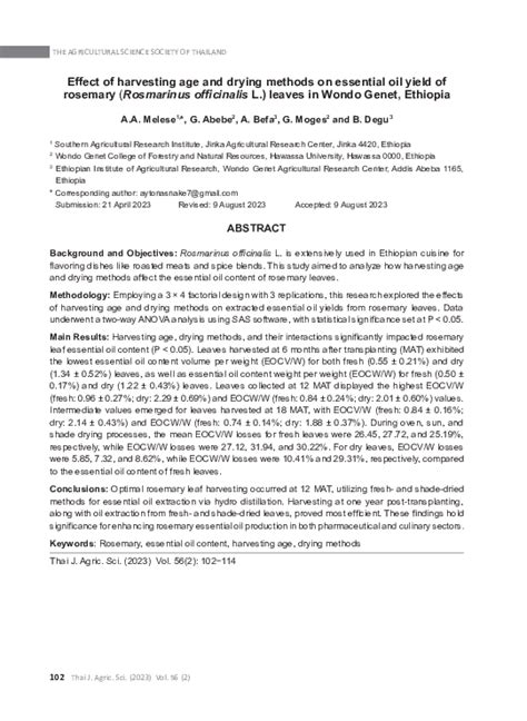 Pdf Effect Of Harvesting Age And Drying Methods On Essential Oil Yield Of Rosemary Rosmarinus