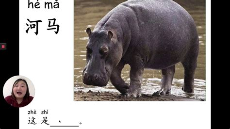 Cl L1 U18 13 April Video2 Youtube