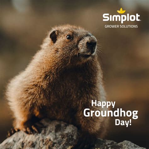 Simplot Grower Solutions Canada On Linkedin Groundhogday2024 Earlyspring
