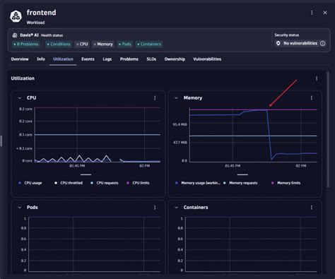 Troubleshoot Common Health Problems Of Kubernetes Workloads — Dynatrace