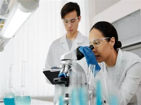 Scientists Unveil Comprehensive Cell Map Of Mammalian Brain