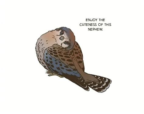 Horus As Cute Bird Anime Egyptian Egyptian Art Ancient Egyptian Gods