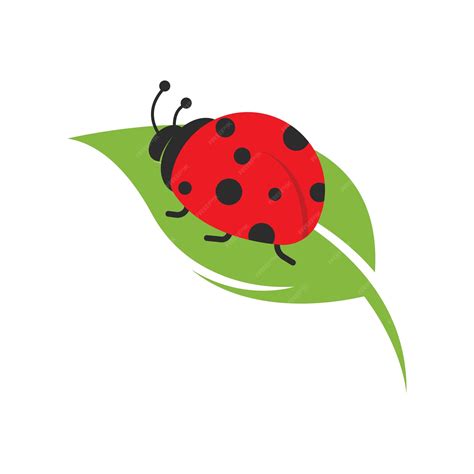 Premium Vector Ladybug Vector Ladybug On White Background Wallpaper Symbol