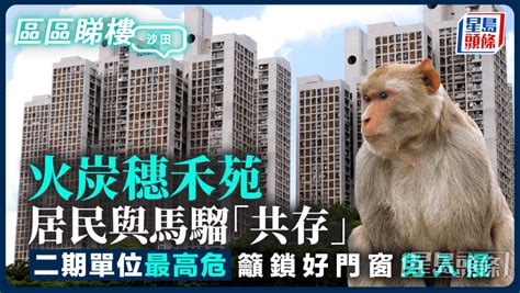 杏花邨屢成颱風重災區 居民一度憂影響樓價 海景戶打風前夕1250萬成交 長情業主勁賺9倍