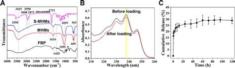 Simvastatin Loading And Release Assay A Ftir Spectra Of Fbp Mhms Download Scientific