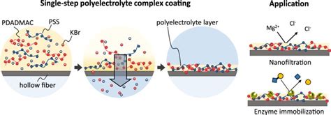 Matthias Wessling On Linkedin Polyelectrolyte Membrane