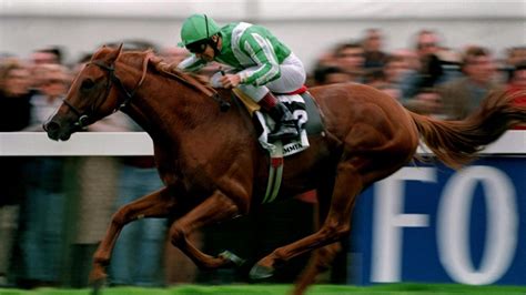 Franlie Dettori Ready For Final Arc Ride Aboard Free Wind