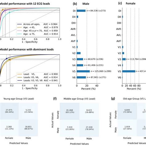 Model Performance And Lead Importance For Gender Identification Using