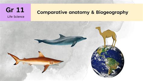 Biogeography Examples