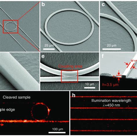 Microring Resonators And Waveguides As Well As Demonstration Of Their