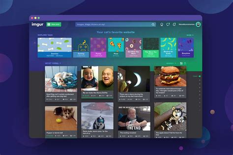 Imgur Is Going To Be Less Strict About Memes With Adult Humor The Verge