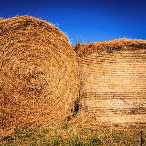 Autumn Farm Landscape With Haystack Stock Image Image Of Growth