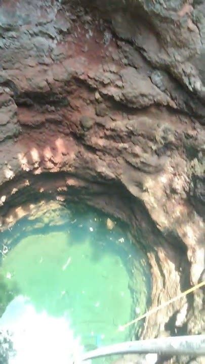 Teri Zhalak Ashrafi Shreevalli Short Video ️😂shetkari Shreevalli