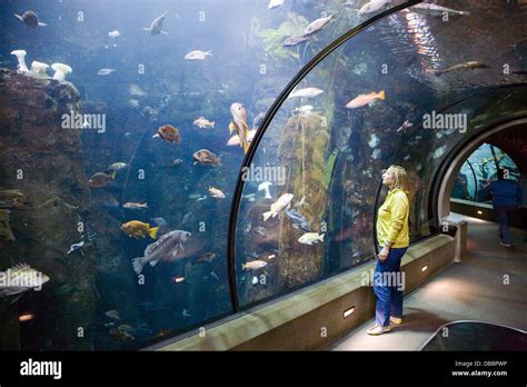 Passages Of The Deep At Oregon Coast Aquarium Newport Oregon Usa
