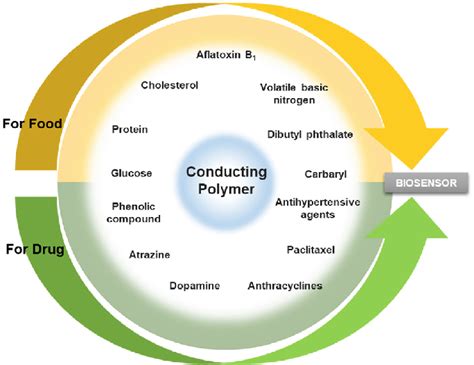The Application Of Conducting Polymer Biosensor In Food And Drug Analysis Download Scientific